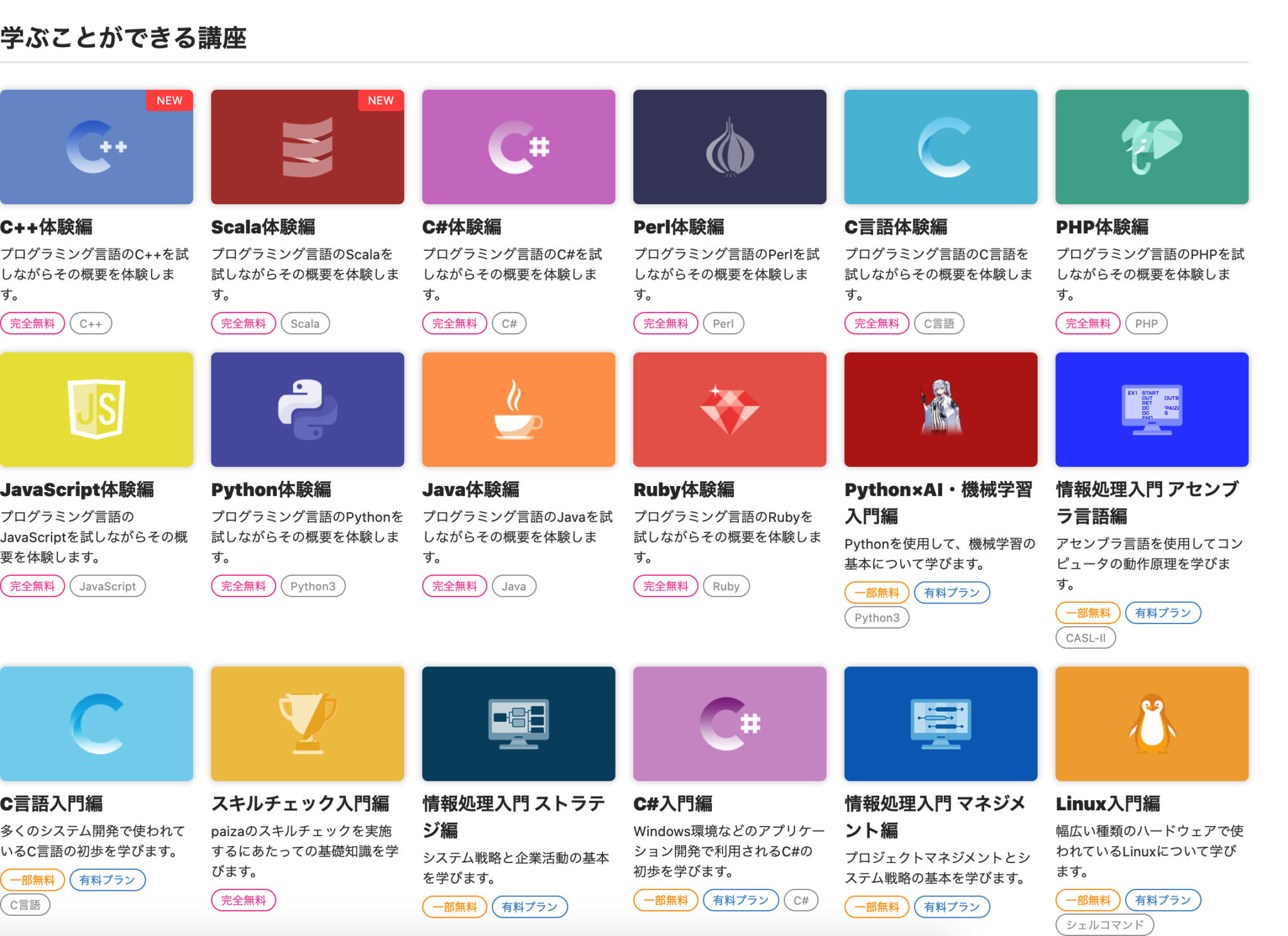 文系出身者がpaizaでSランクを取って変わったこと｜Worth IT